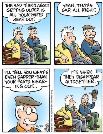 20 Hilarious Daily Family Humor Comics Everyone Can Enjoy